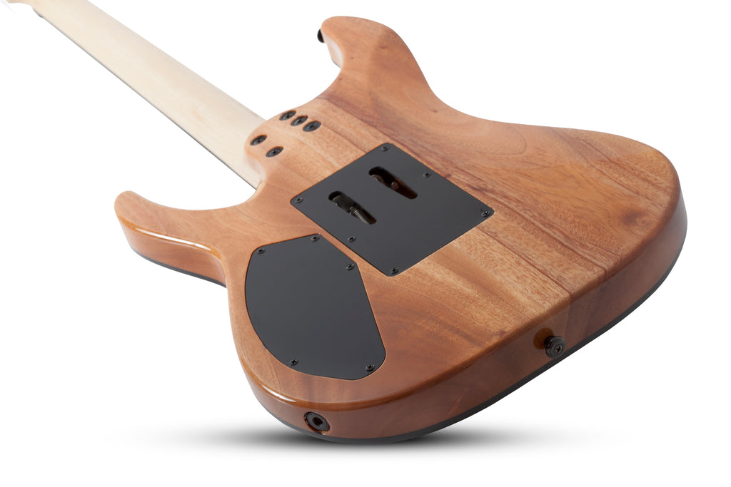 schecter — Pepis Music - The Musician's Cavern